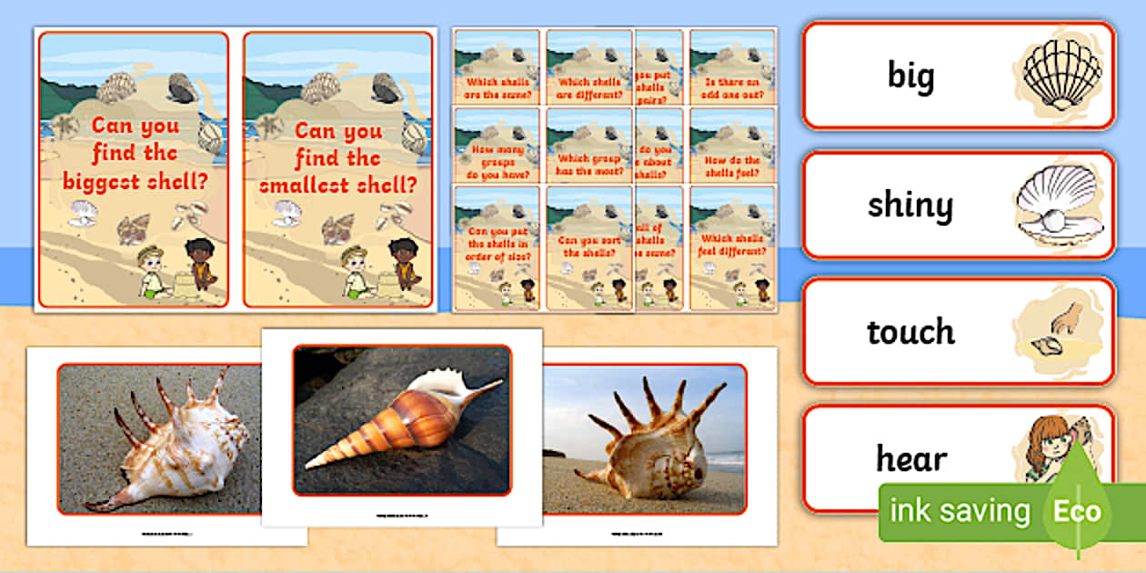 Investigating Seashells Question Pack (teacher made)