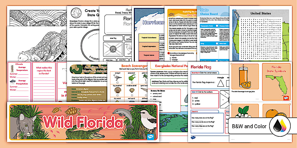 FREE Florida Teaching Resources Taster Pack (teacher made)