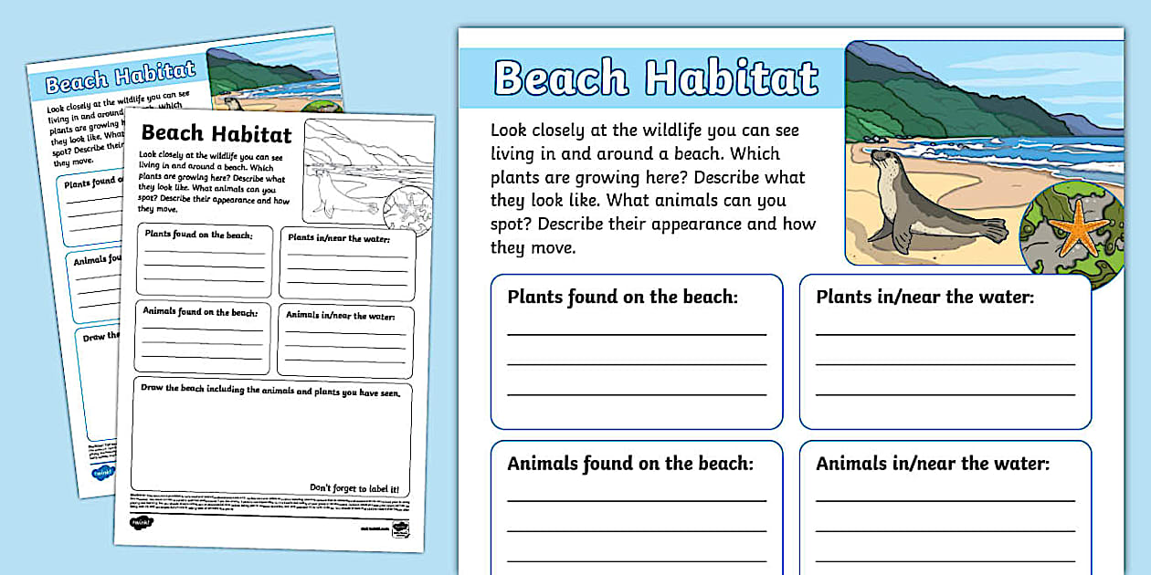 Beach Habitat Investigation Worksheet (Hecho por educadores)