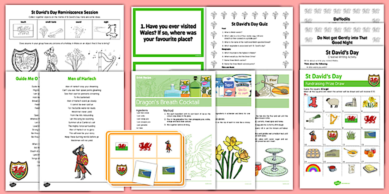 Care Home St David's Day Resource Pack - Twinkl