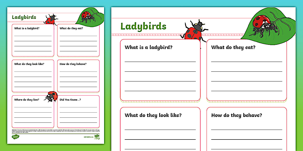 Ladybird Fact File Template (Teacher-Made) - Twinkl