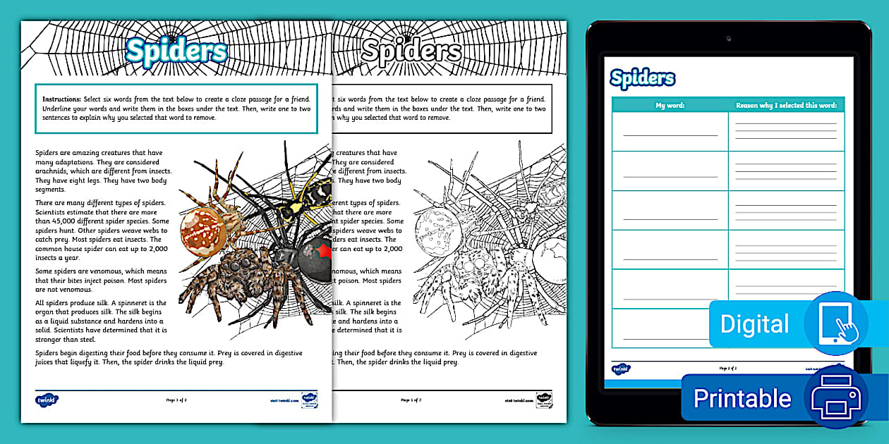 Third Grade Spiders Reverse Cloze Worksheet (Teacher-Made)