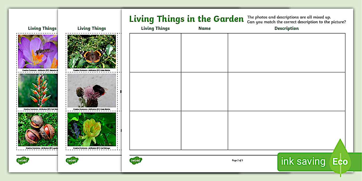 National Botanic Garden of Wales: Living Things Matching Activity