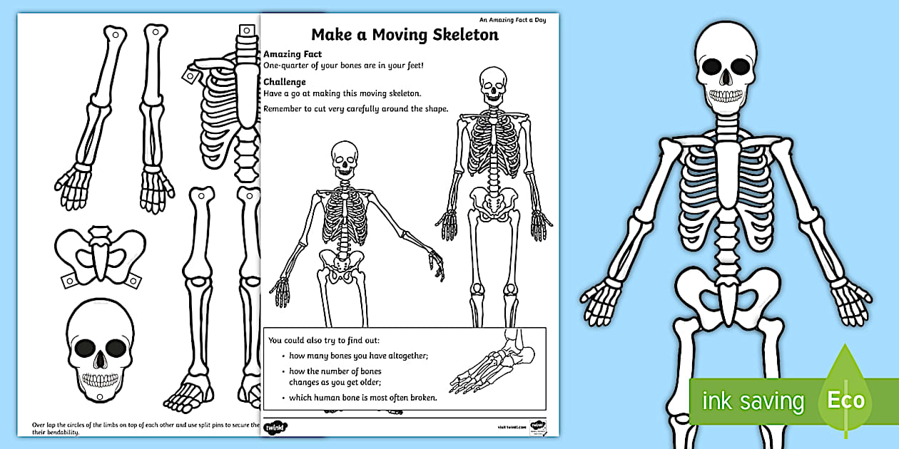 Editable Making a Moving Skeleton Worksheet (teacher made)