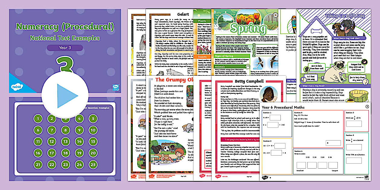 National Tests Intervention Packs for HLTA's (teacher made)