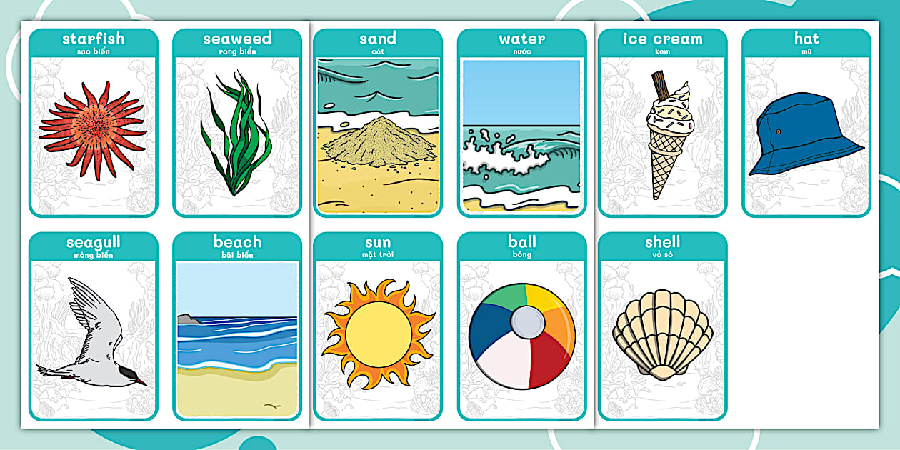 Thẻ Học Từ Song Ngữ Chủ Đề Bãi Biển - At The Beach Dual Language Flashcards