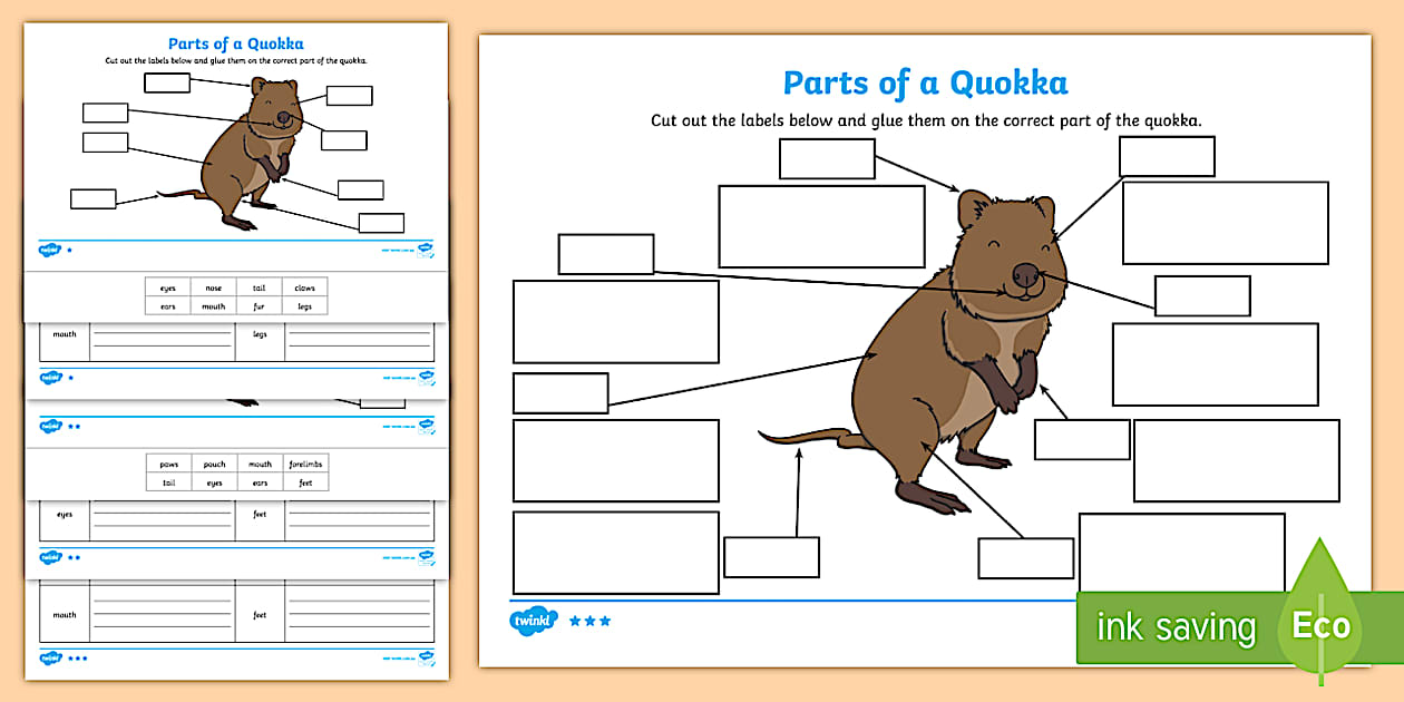 Parts of a Quokka Worksheets - Parents - Science and STEM