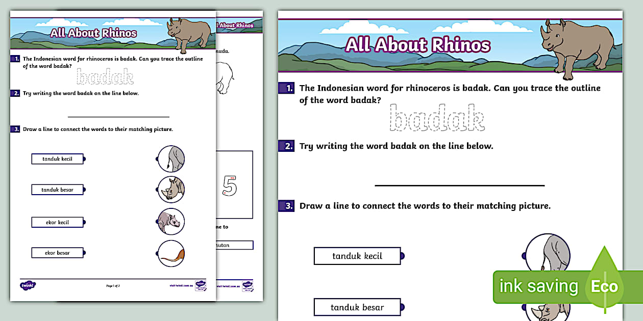Indonesian Animals: All About Rhinos Lower Primary - Twinkl