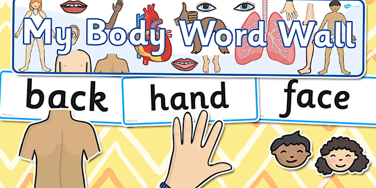 My Body Word Wall Pack (teacher made) - Twinkl