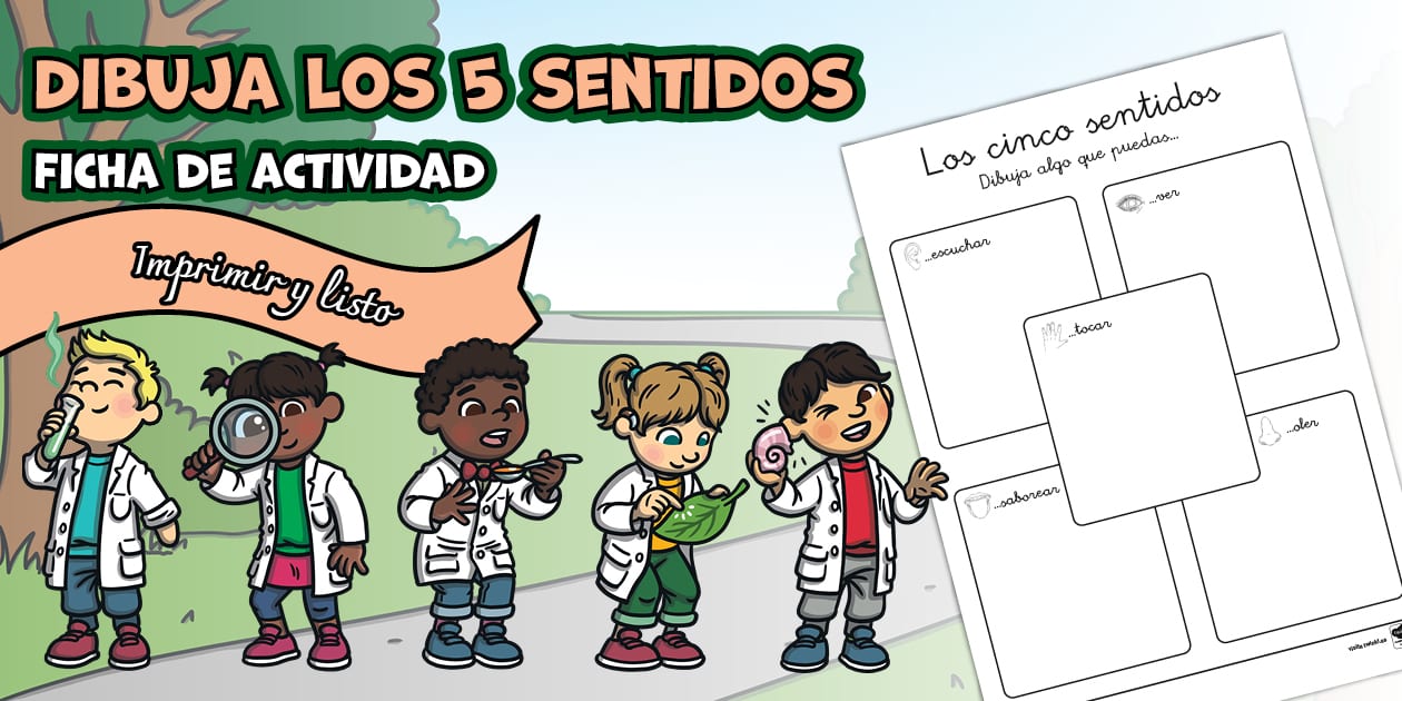 Ficha de actividad: Dibuja los 5 sentidos