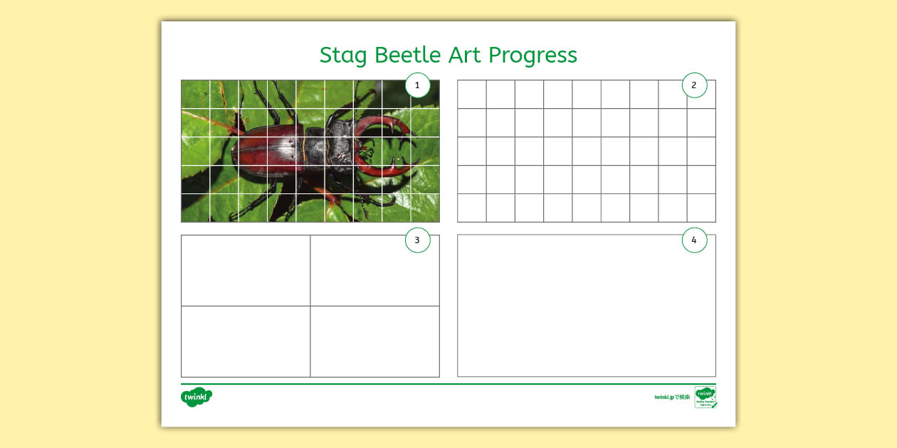 Stag Beetle Art Progress Template (professor feito) - Twinkl