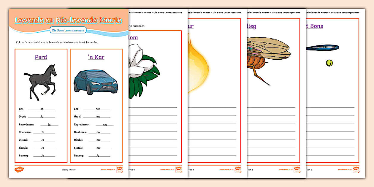 Lewende en Nie-lewende Kaarte - Aktiwiteit (teacher made)