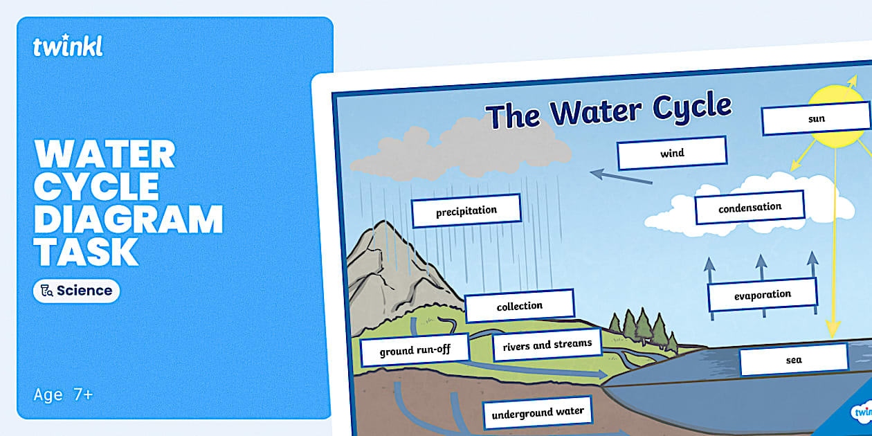 Label the Water Cycle Worksheet