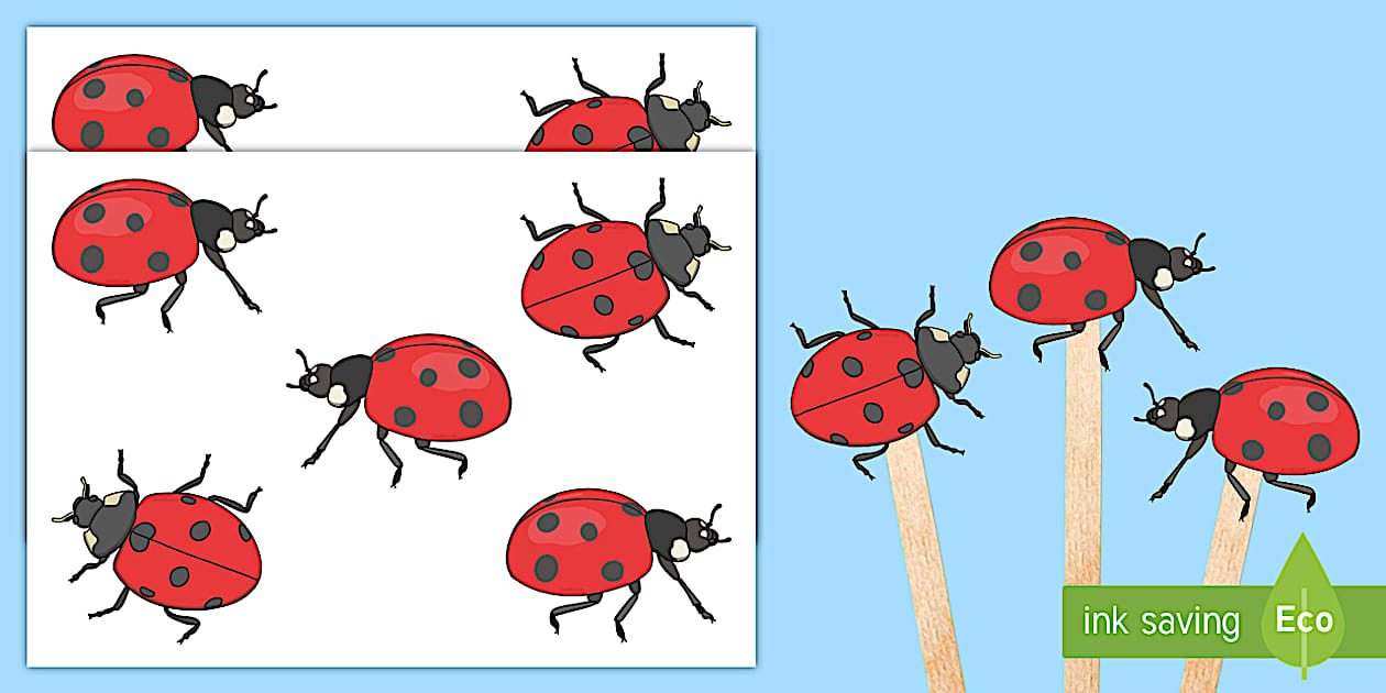 Ladybird Stick Puppets (Teacher-Made) - Twinkl