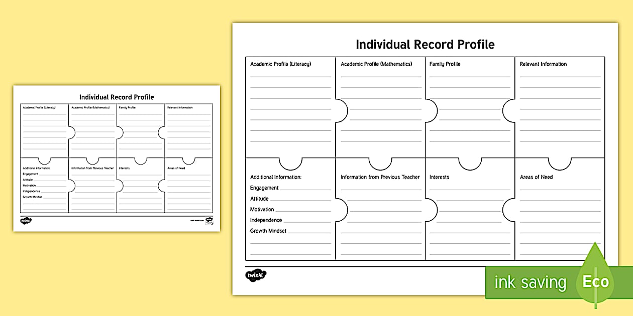 Individual Profile Record (teacher made) - Twinkl