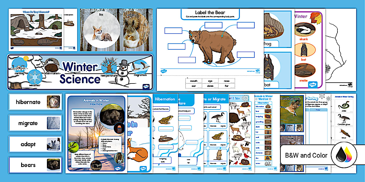 Animals in Winter Science Learning Center Activity Pack