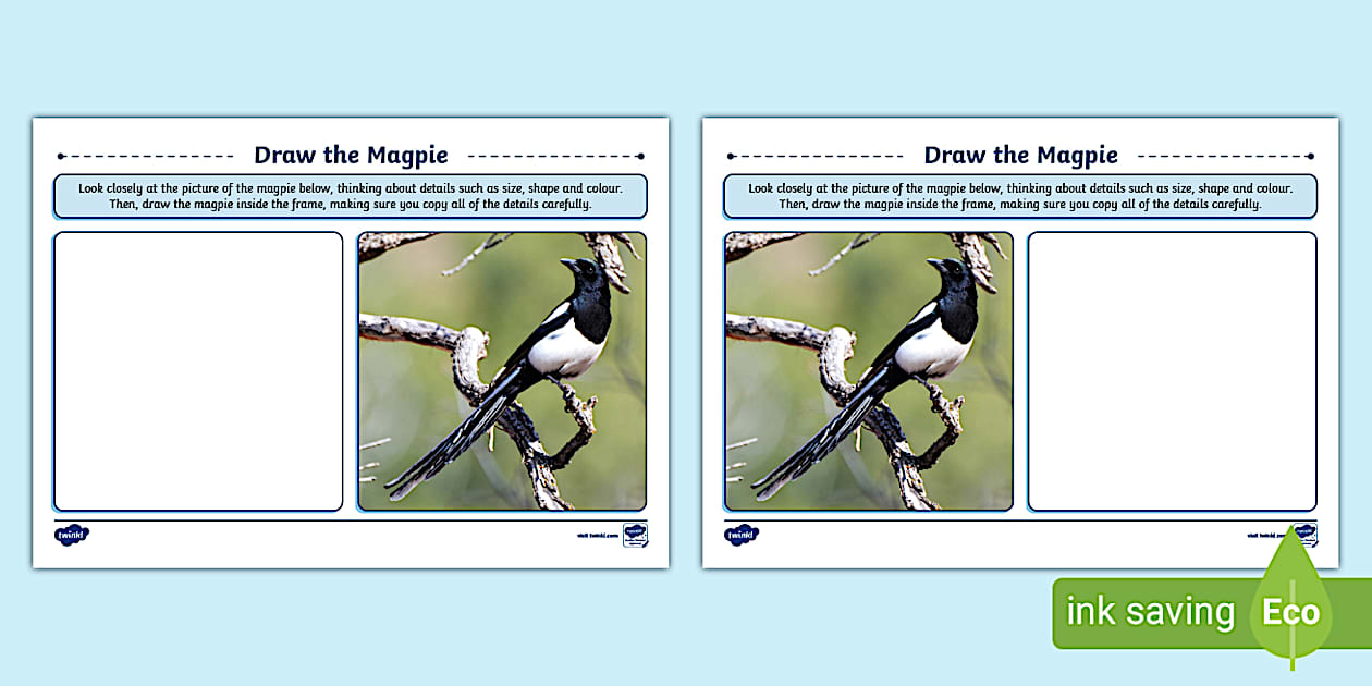 Draw the Magpie Art Activity (teacher made) - Twinkl