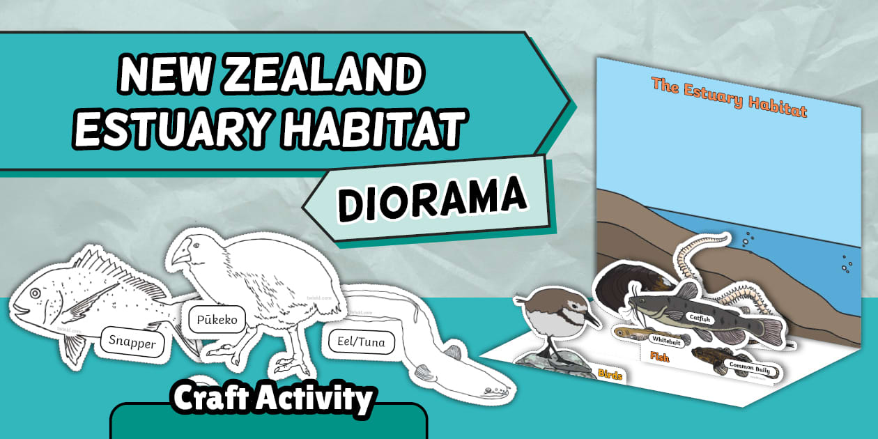 New Zealand Estuary Habitat Diorama