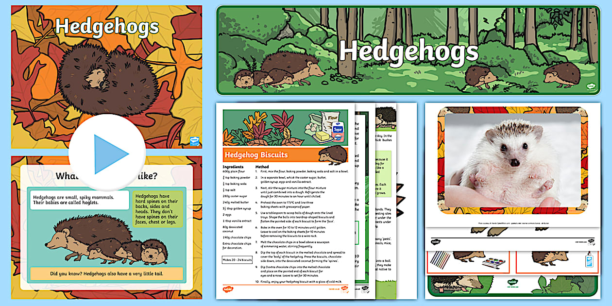 Hedgehog Awareness Week Resource Pack (teacher made)