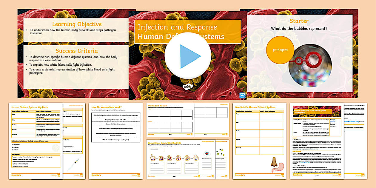 AQA Infection and Response Lesson 3: Human Defence Systems