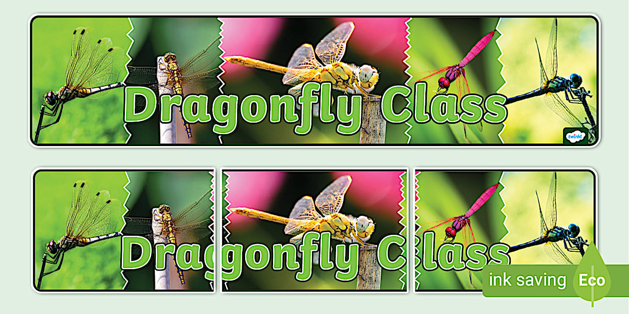 Dragonfly Class Photo Display Banner (teacher made) - Twinkl