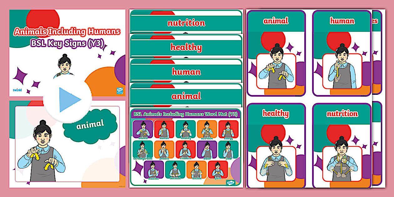 BSL Animals Including Humans Sign Support Pack (Y3) - Twinkl