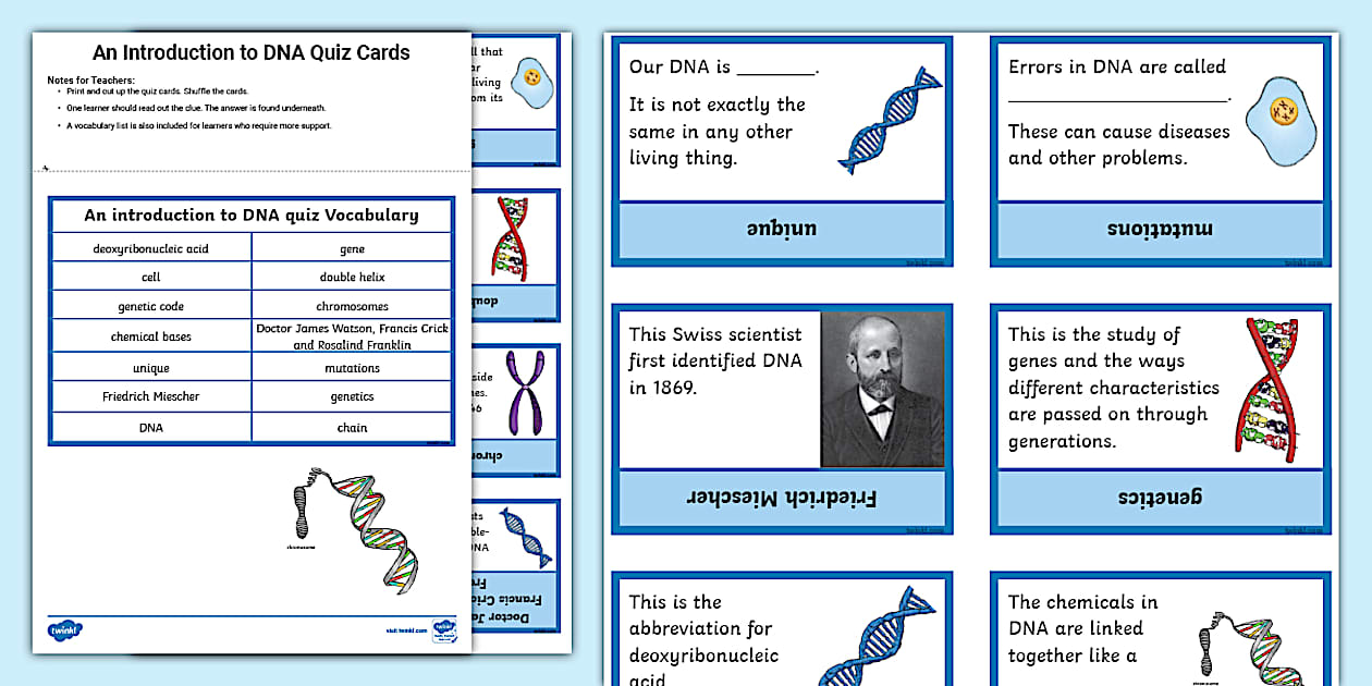 An Introduction to DNA Quiz Cards (teacher made) - Twinkl