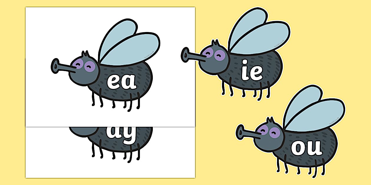 Cursive Phase 5 Phonemes on Flies (teacher made) - Twinkl