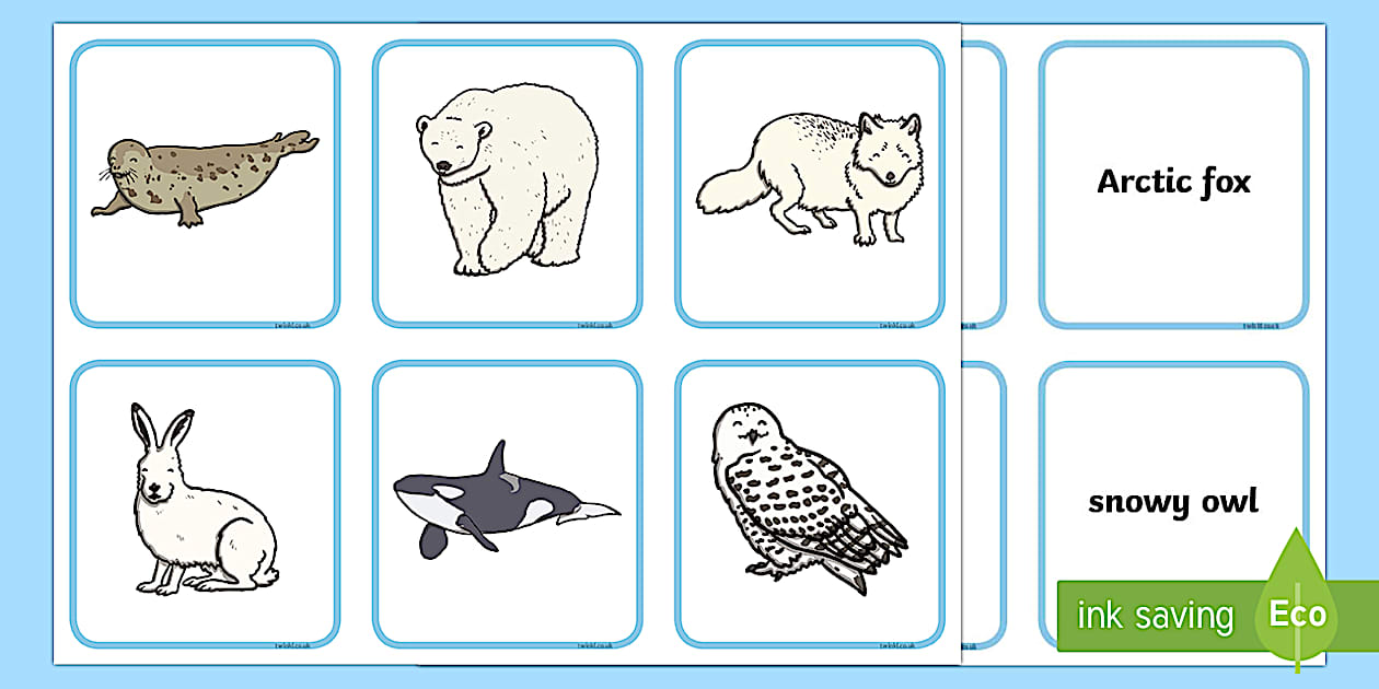 Arctic Animals and their Young Word Matching Cards - Twinkl