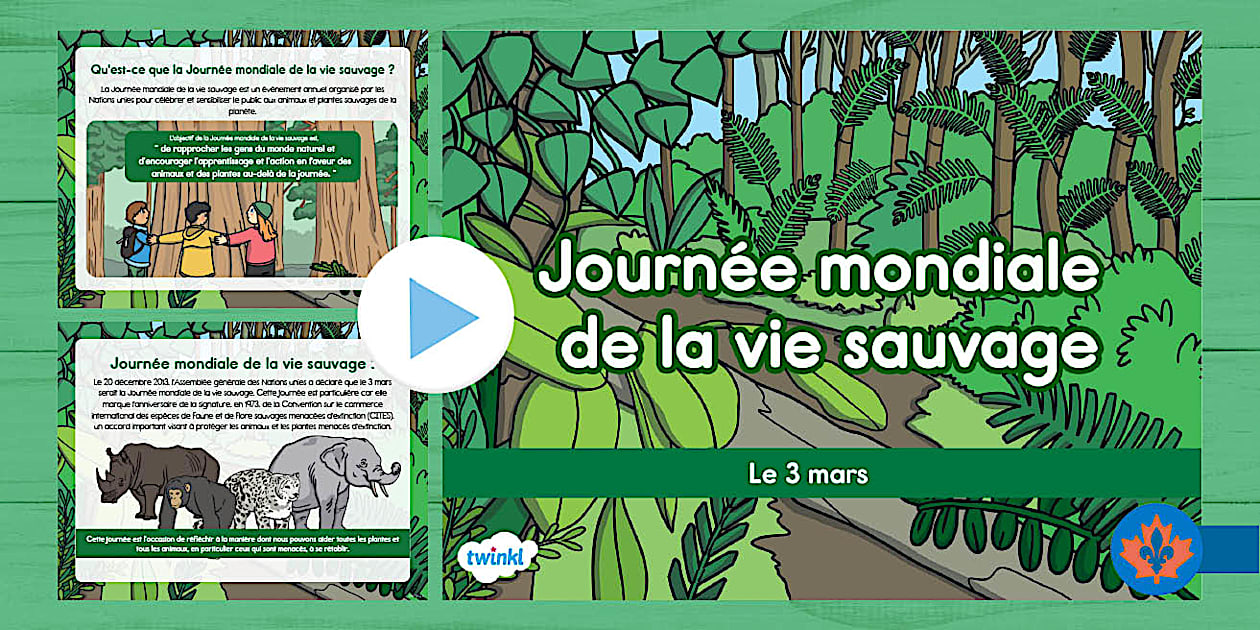 World Wildlife Day Primary French (teacher made) - Twinkl