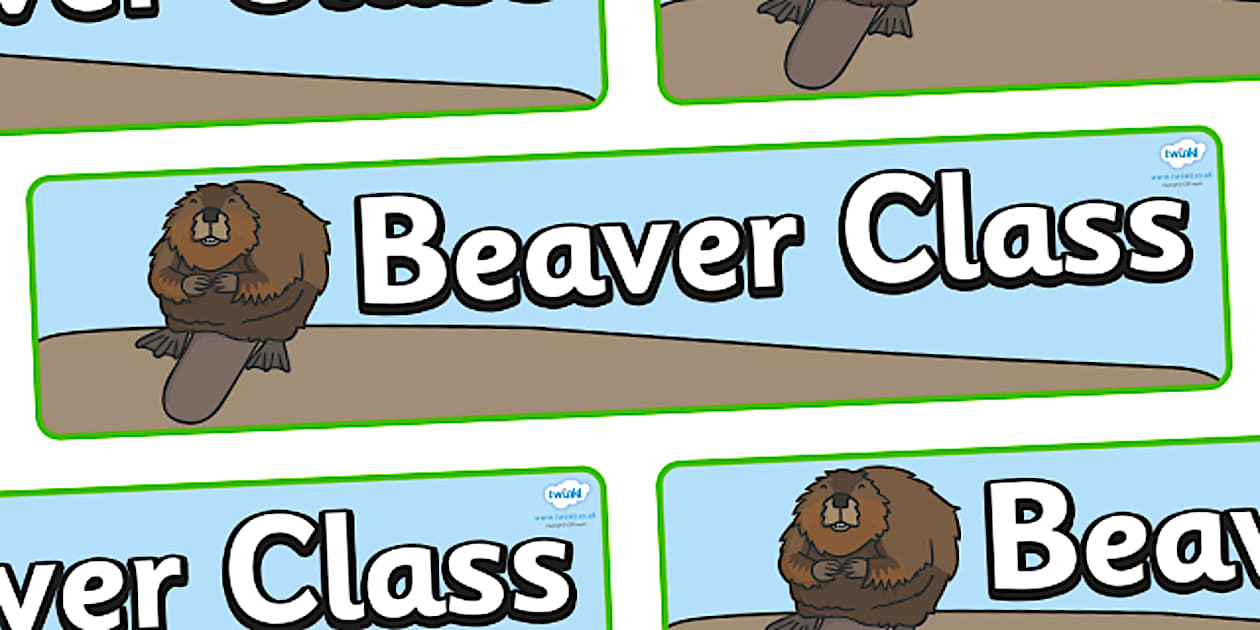 Beaver Themed Classroom Display Banner (Teacher-Made)