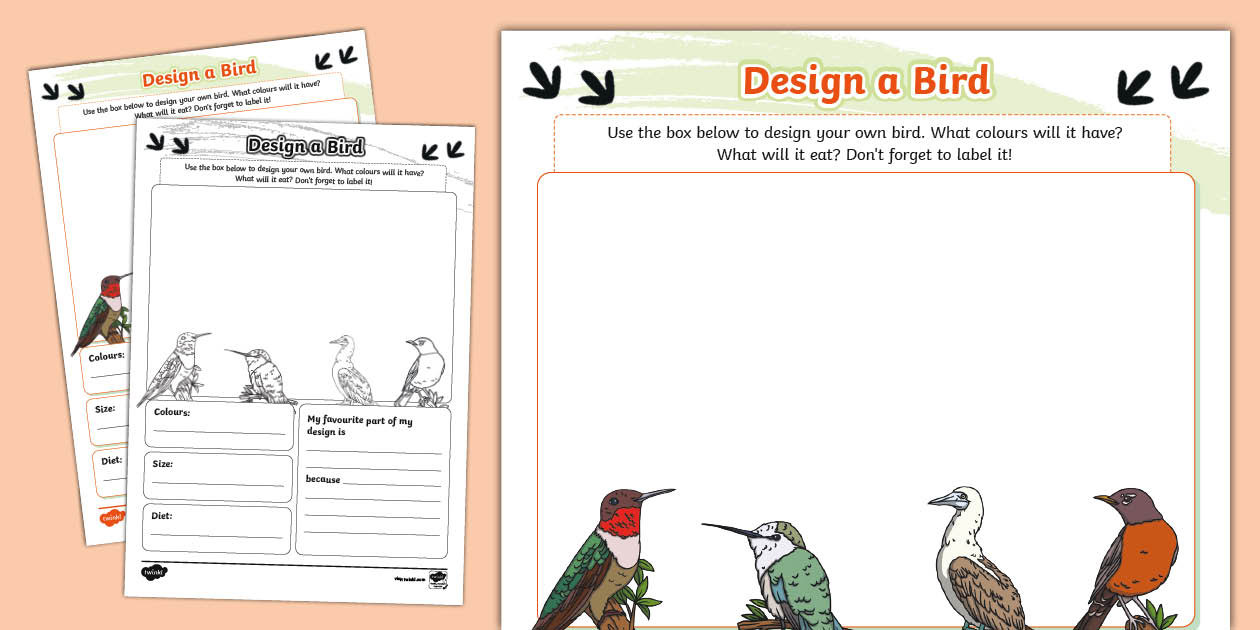 KS1 Design a Bird Worksheet - Twinkl Design (teacher made)