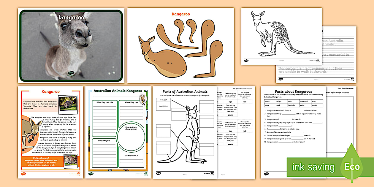 Kangaroo Resource Pack | Kangaroo Templates and Worksheets