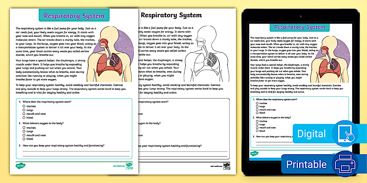 Fifth Grade Respiratory System Reading Passage Comprehension Worksheet