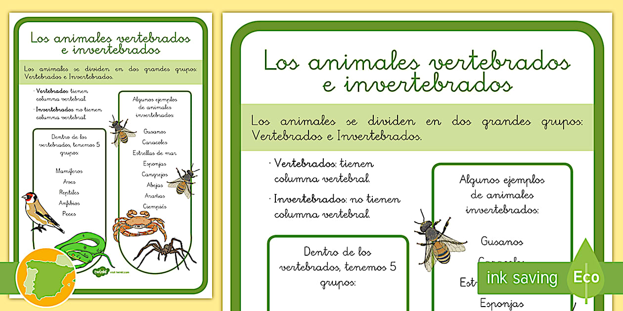 Fichas de animales vertebrados e invertebrados | Primaria