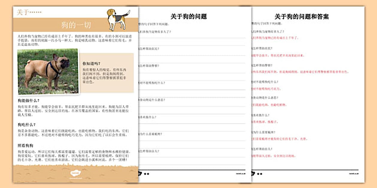 狗阅读理解 (professor feito) - Twinkl