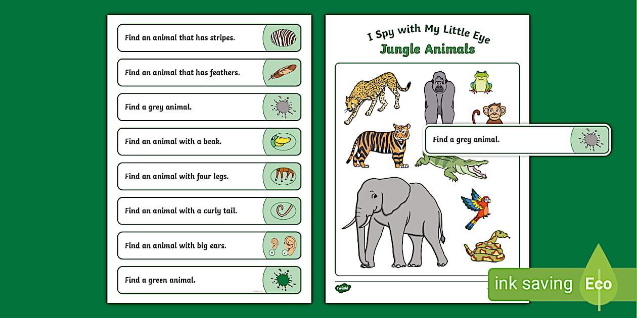 I Spy and Find: Jungle Animals - Twinkl