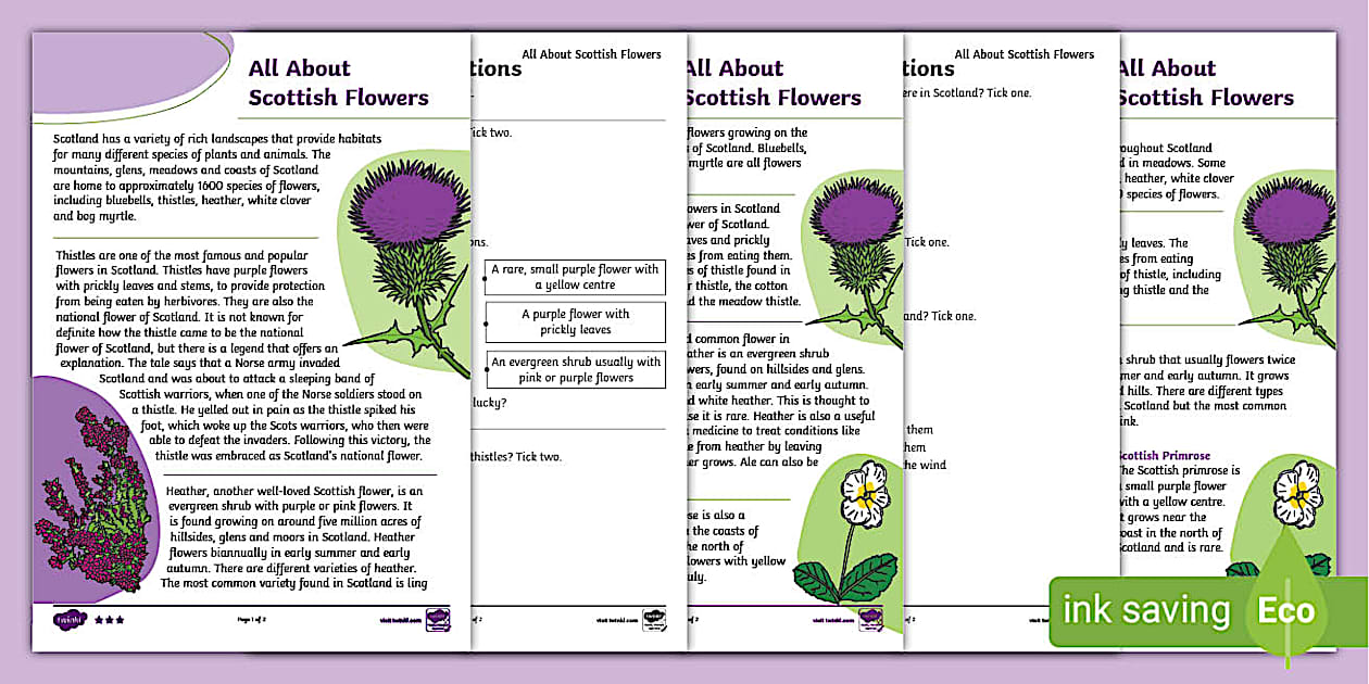All About Scottish Flowers Differentiated Reading Comprehension