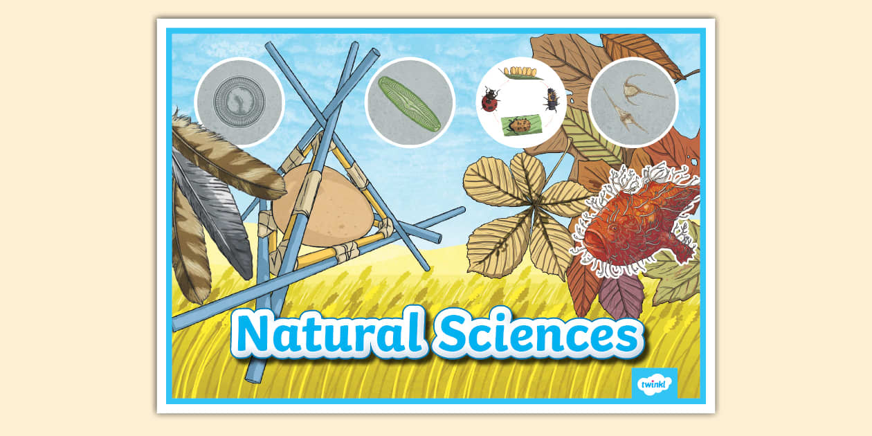 Natural Sciences Display Poster (teacher made) - Twinkl