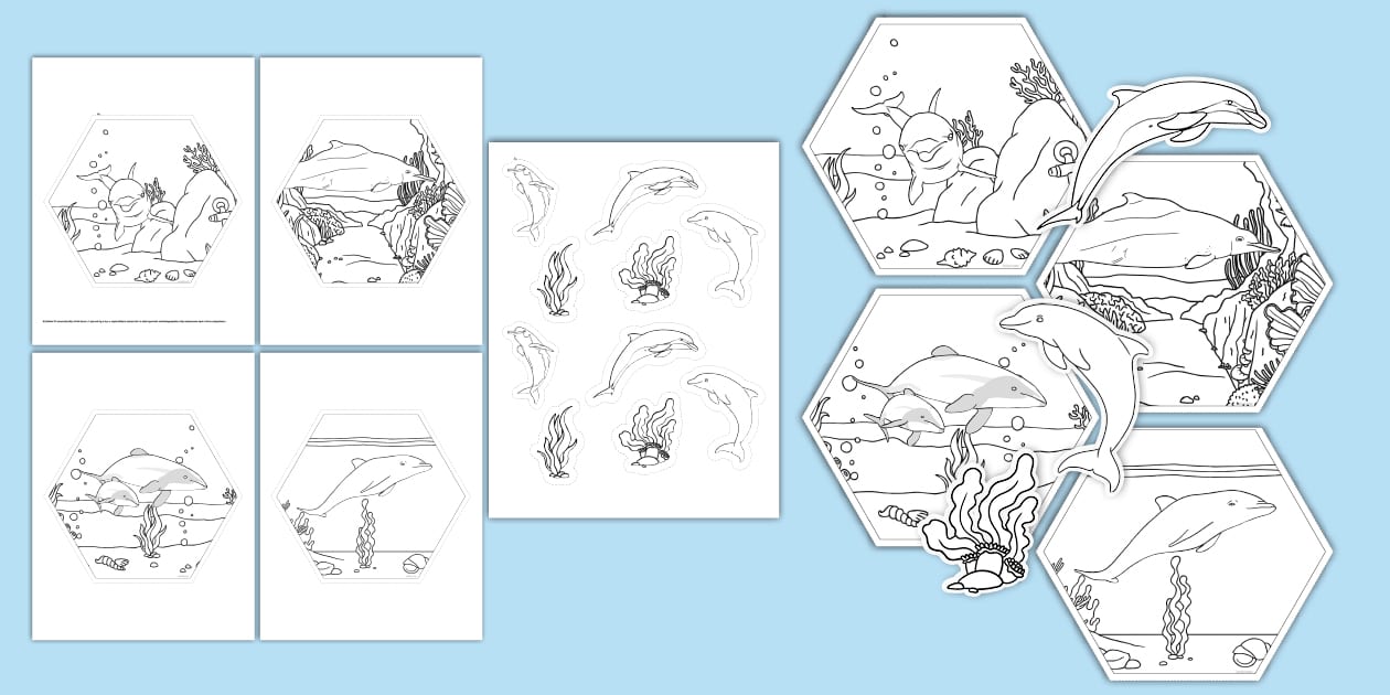 Dolphins Hexagon Display Colouring Activity (teacher made)