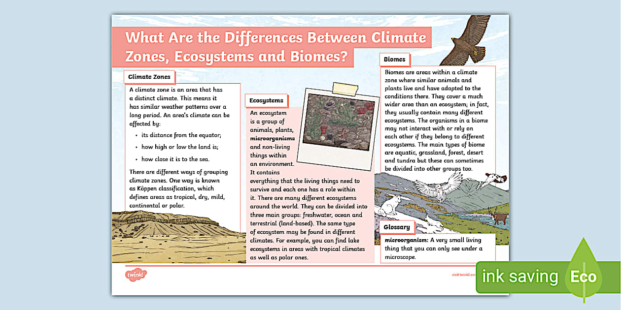 Ecosystems, Biomes and Climate Zones Fact File - Twinkl