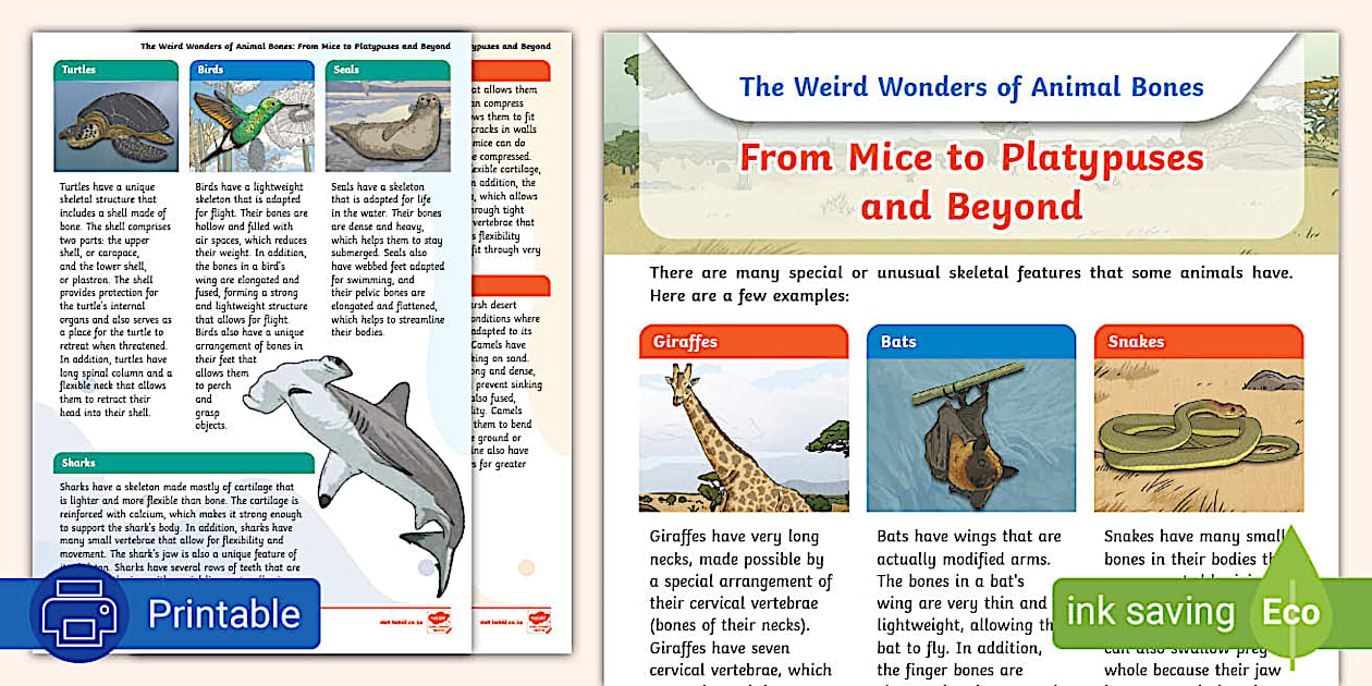 Weird Wonders of Animal Bones: From Mice to Platypuses