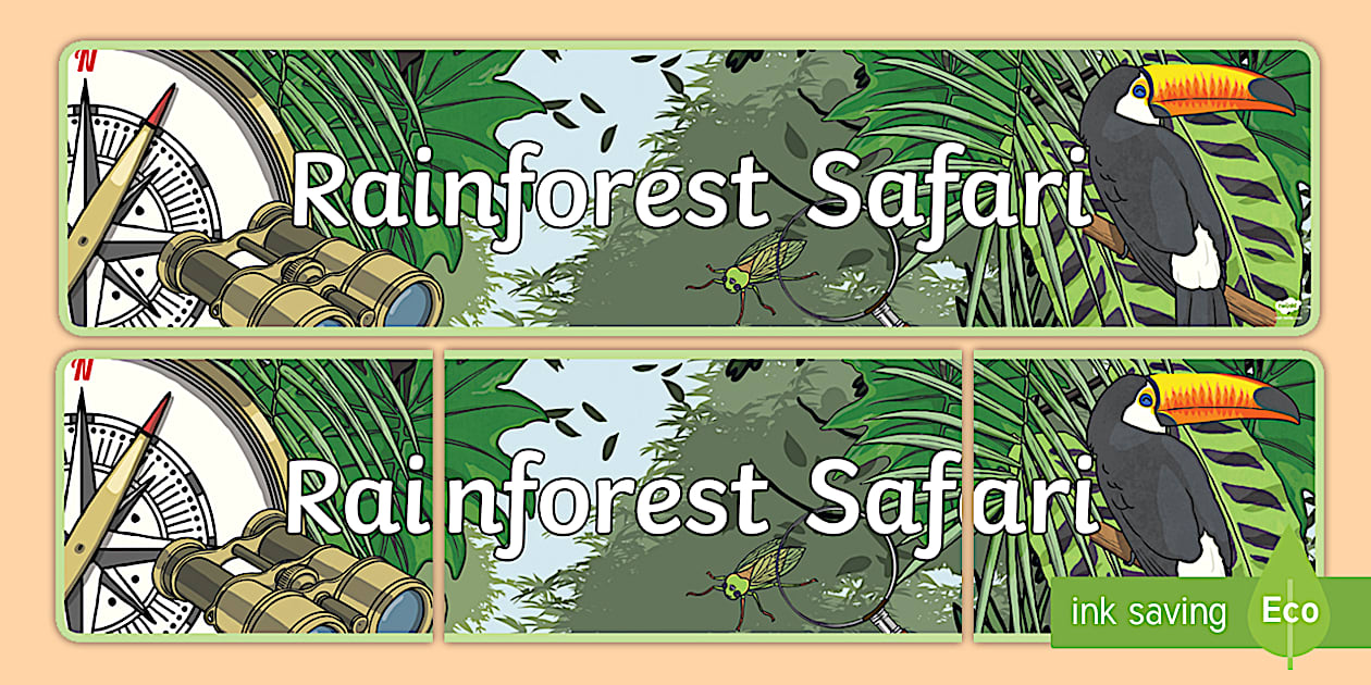 Rainforest Safari Display Banner - Rainforest Explorer Role Play Display