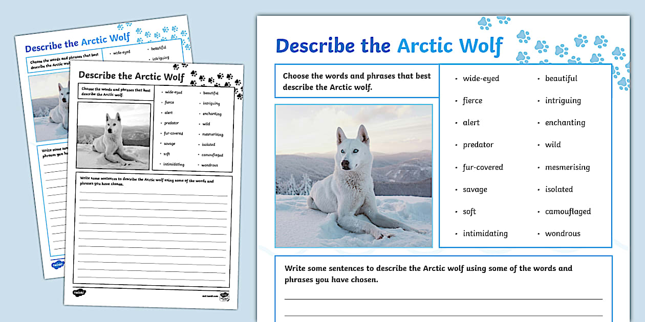 Describe the Arctic Wolf Worksheet (teacher made) - Twinkl