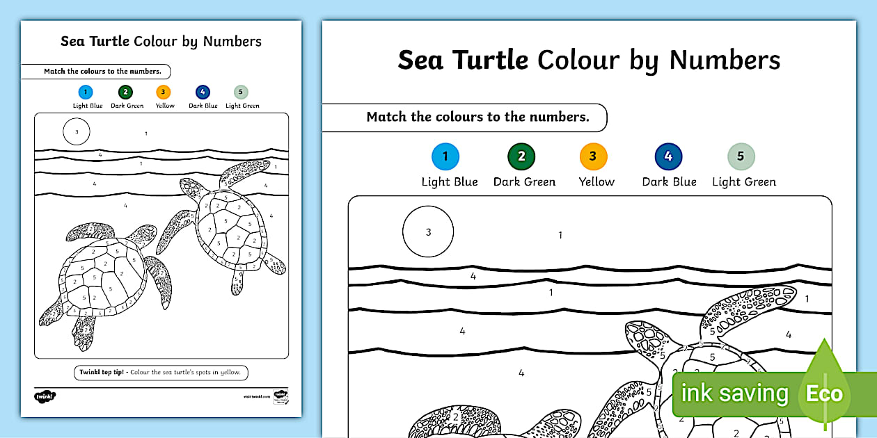 Sea Turtle Colour by Number Activity (teacher made) - Twinkl