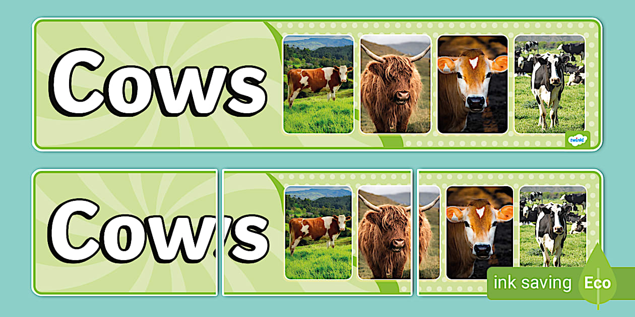 Cows Photo Display Banner (teacher made) - Twinkl