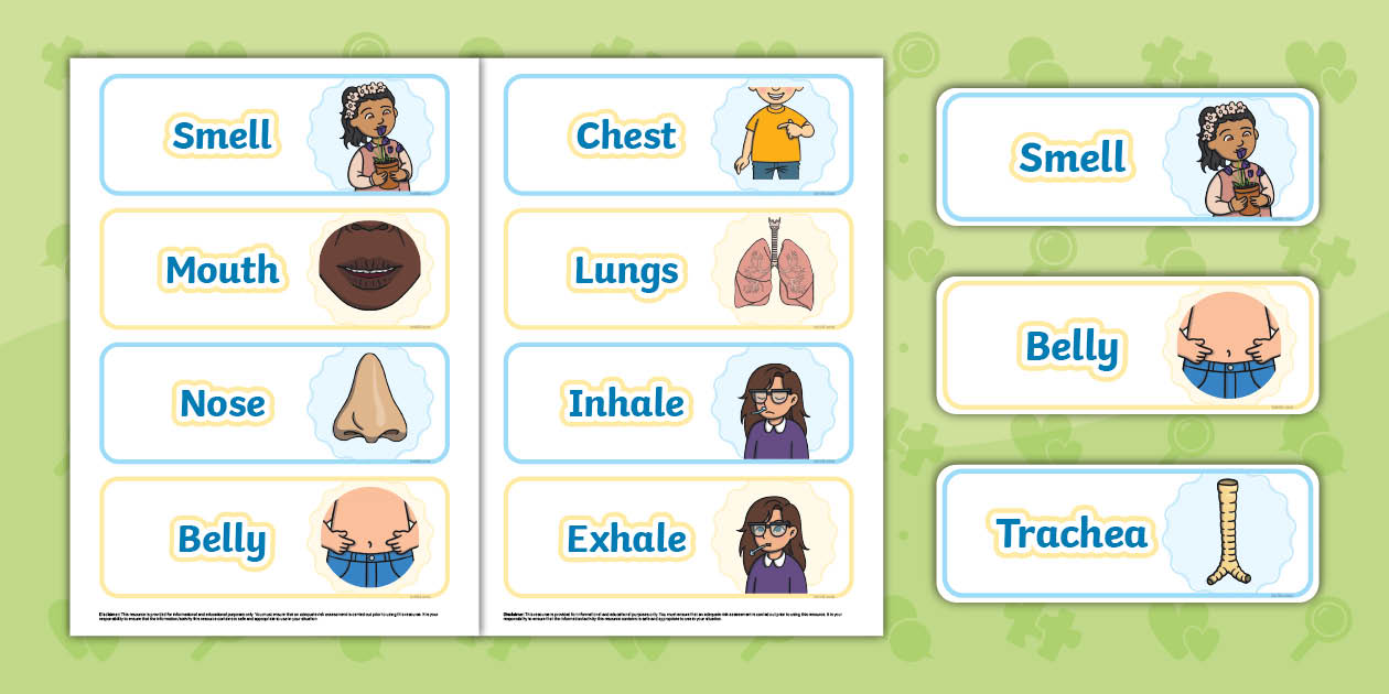 Breathing Word Cards for Early Childhood (teacher made)