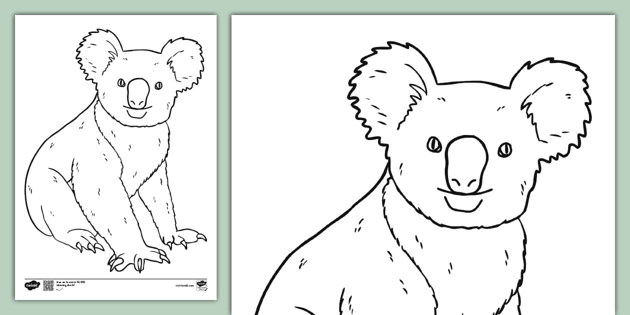 Cute Koala Colouring Page | Koala Template Cut-Out - Twinkl