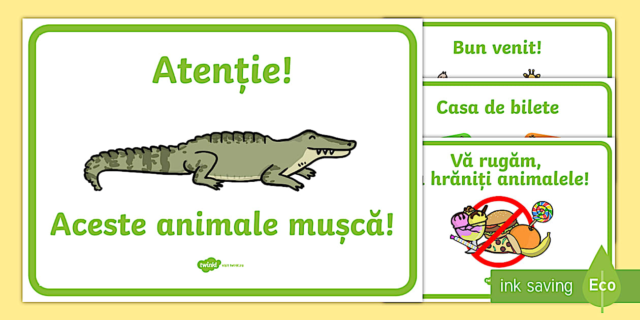 Joc de rol: La Zoo Indicatoare - Romanian / Română