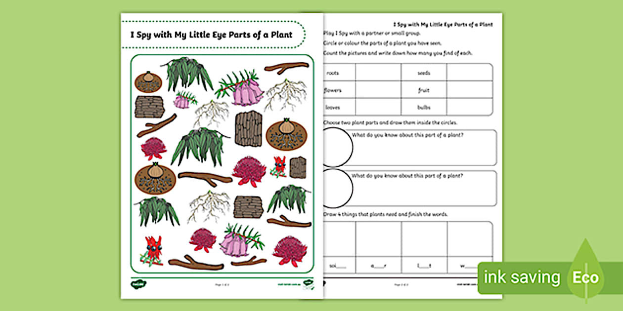 TAS Plant Parts Worksheet I Spy - Twinkl